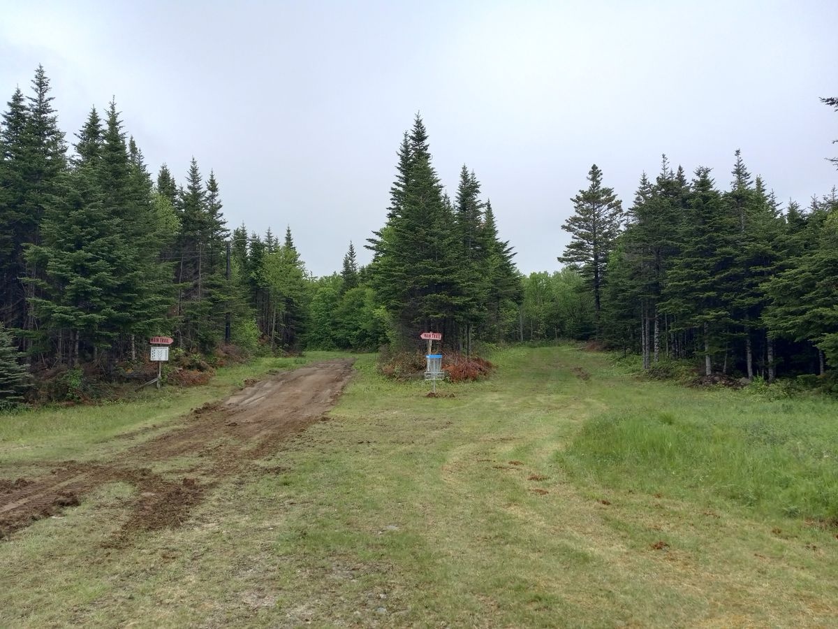 Whaleback Disc Golf Course – Whaleback Nordic Ski Club